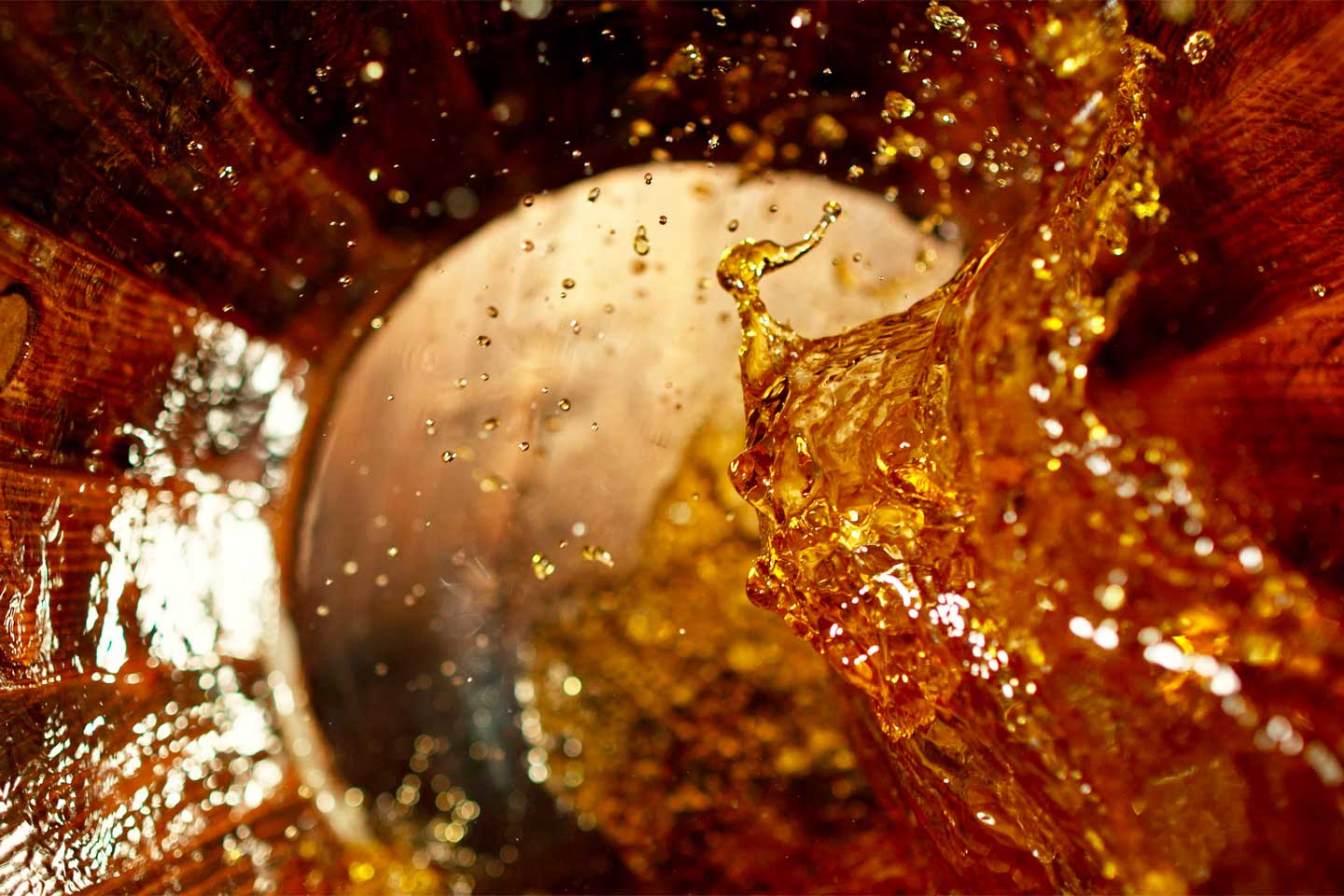 Avvale | Case Study | Fratelli Branca